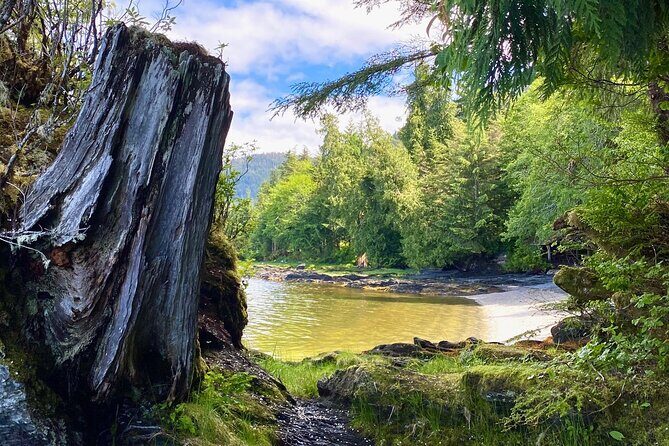 3-Hour Rainforest, Beach & Wildlife Walk - FAQ