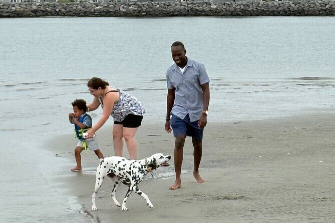 3 Hour Scenic Back Bay Tour - The Practical Details: What You Need to Know