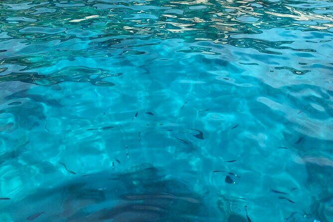 3 Hour shared Cinque Terre tour + Swim Stops at Secluded Beaches! - Practical Tips & Considerations