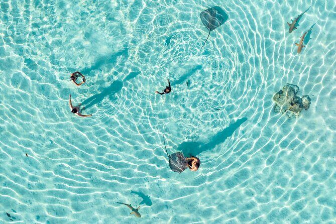 3-Hour Snorkeling Tour - Stop 1: Tiahura – Shark and Ray Encounter