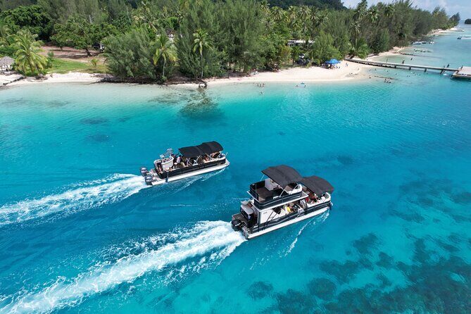 3-Hour Snorkeling Tour - Stop 2: Hauru – Coral Gardens