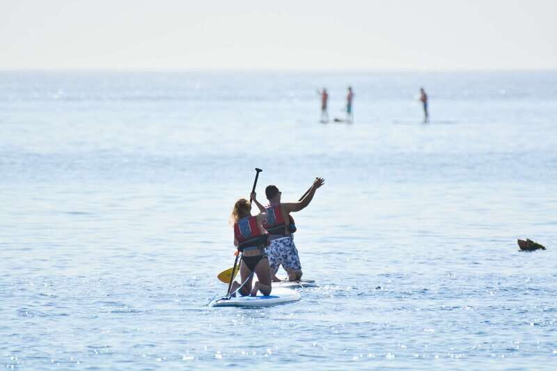 3-Hour Stand up Paddle and Snorkel at Los Cabos - Exploring the 3-Hour Stand Up Paddle and Snorkel Tour at Los Cabos