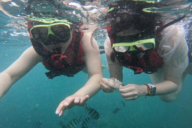 3 Hour Sunset Cruise to Shell Island - Who Should Consider This Tour?