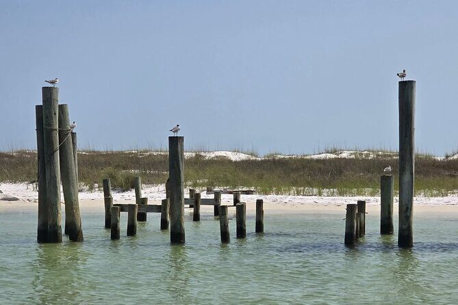 3 Hour Sunset Cruise to Shell Island - Final Thoughts