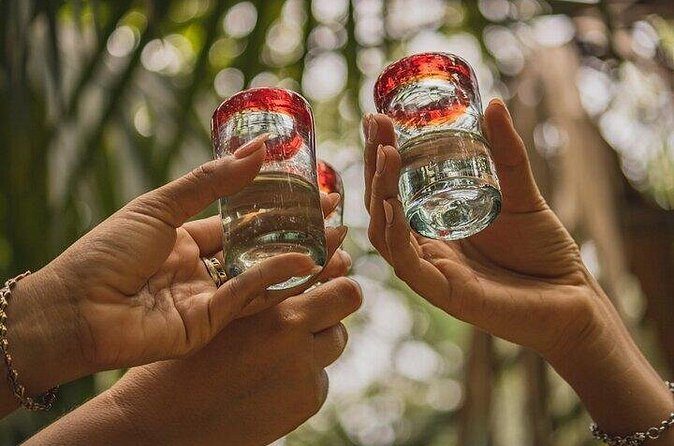 3 Hour Tequila Tasting Frida Kahlo - Analyzing the Cost and Value