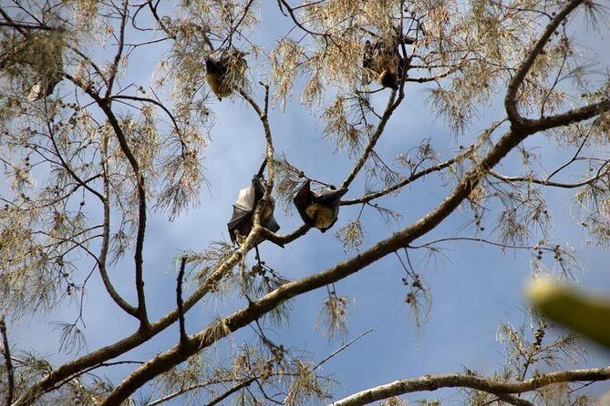 3-Hour Tongatapu West Coast Scenic Tour - Key Points