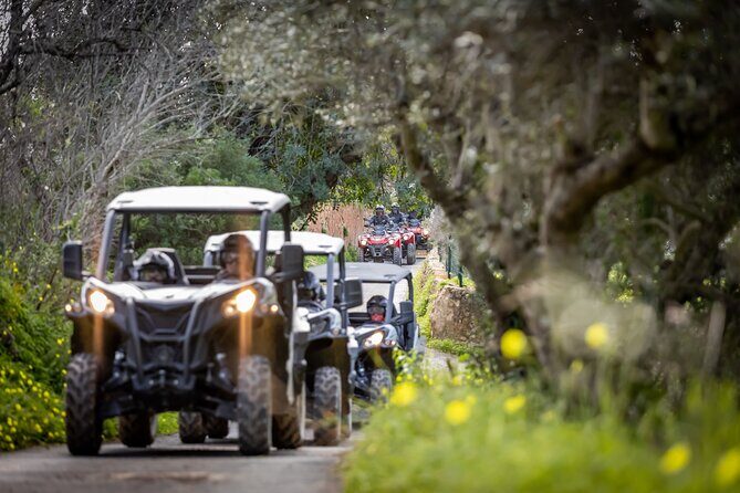 3-hour tour by Buggy or Quad in the Algarve - Wrapping Up