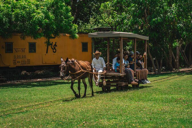 3 Hour Tour in The Sotuta de Peón Live Museum - Authentic Experiences and Hidden Details