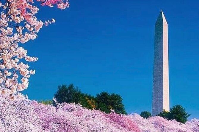 3 Hour Tour Of Washington, D.C. The Nucleus Of Democracy - Is the Price Worth It?