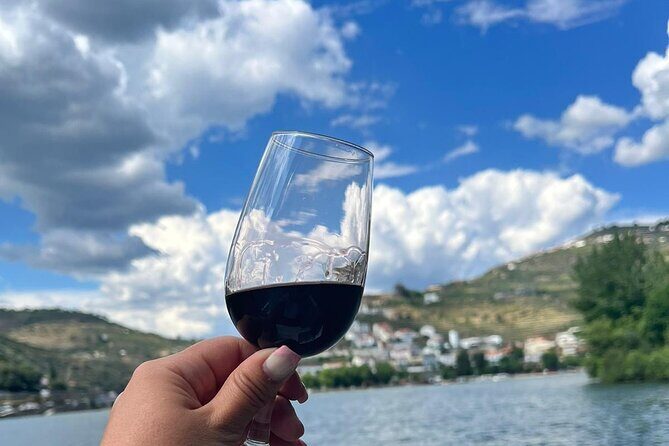 3-Hour Tour to Discover Pinhão - Moment of Discovery - Authentic Insights from Reviewers