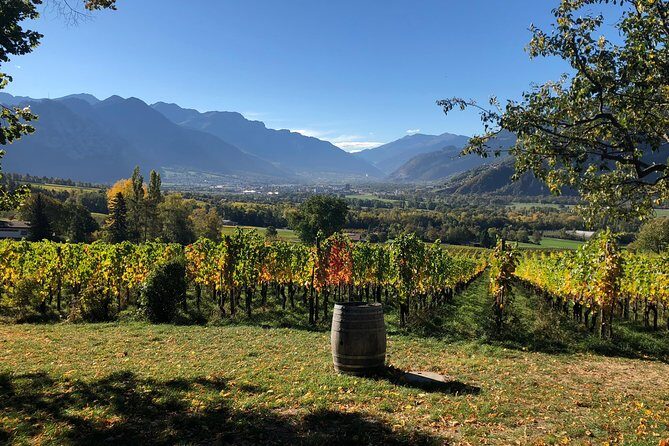 3 Hour Unique Wine Tour - Half Day in Swiss Alps - Unpacking the Experience: What to Expect