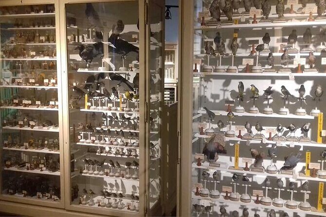 3-Hour Walking Tour with Guide Discovering Verona - The Blend of Ancient and Modern