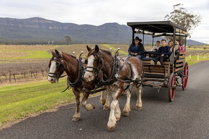 3- Hour Wine and Harvest the Hunter Horse Tour in Pokolbin - Key Points