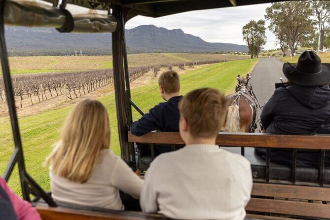 3- Hour Wine and Harvest the Hunter Horse Tour in Pokolbin - An Overview of the Experience: What to Expect