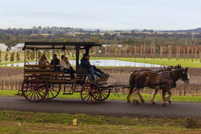 3- Hour Wine and Harvest the Hunter Horse Tour in Pokolbin - Who Should Book This Tour?