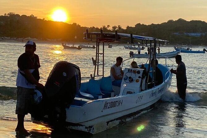 3-Hours Dolphin and Turtle Watching in Puerto Escondido - Authentic Reviews & Tips from Travelers