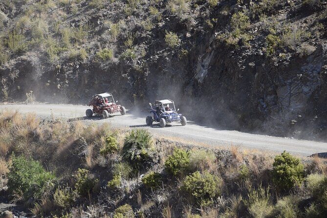 3 Hours Guided Buggy Safari Adventure in the Mountains of Mijas - The Route and What You Can Expect