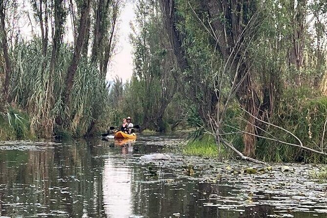 3 Hours of Kayaking at the Ancient Canals of Xochimilco - Key Points