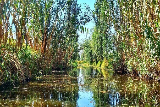 3 Hours of Kayaking at the Ancient Canals of Xochimilco - FAQ