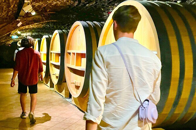 3 hours of Tour in the Wines of Châteauneuf-du-Pape - Who Should Consider This Tour?