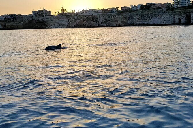 3 Hours Private Boat Tour of the Island of Ortigia with Aperitif - Why This Tour Offers Value