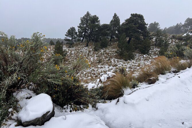 3 hours Private Hike: Mountain Nevado Toluca from Mexico city - Final Thoughts: Is It Worth It?