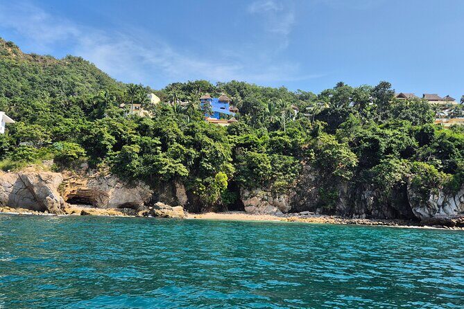 3 hours private snorkeling tour in Misaloya, Puerto Vallarta - The Sum Up