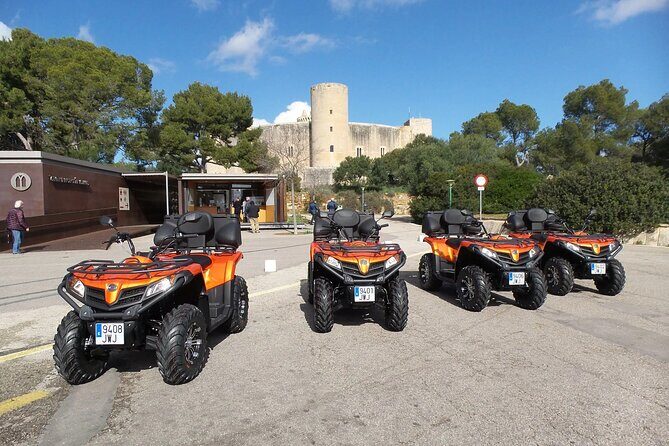 3 hours Quad Sunset Tour from Paguera - Who Will Love This Tour?