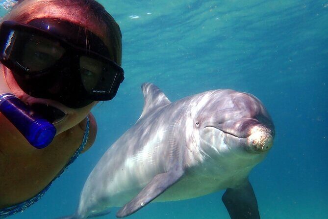 3 Hours Shell Island Experience - What Is the Shell Island Experience?