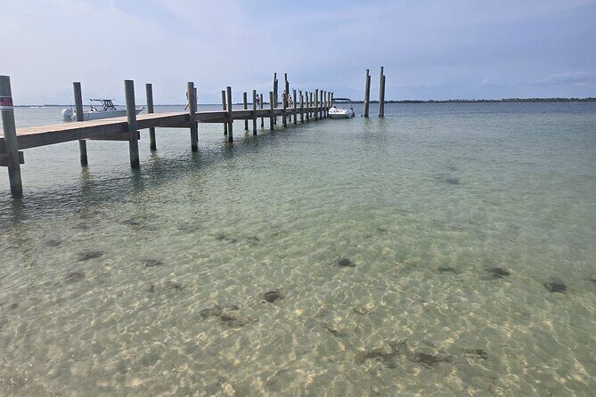 3 Hours Shell Island Experience - Price & Value Analysis