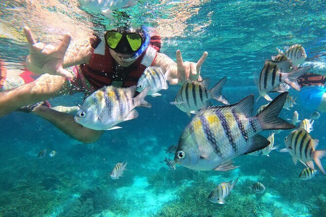 3 Hours VIP Semiprivate Tour Isla Mujeres Full Snorkeling Experience - The Experience Breakdown