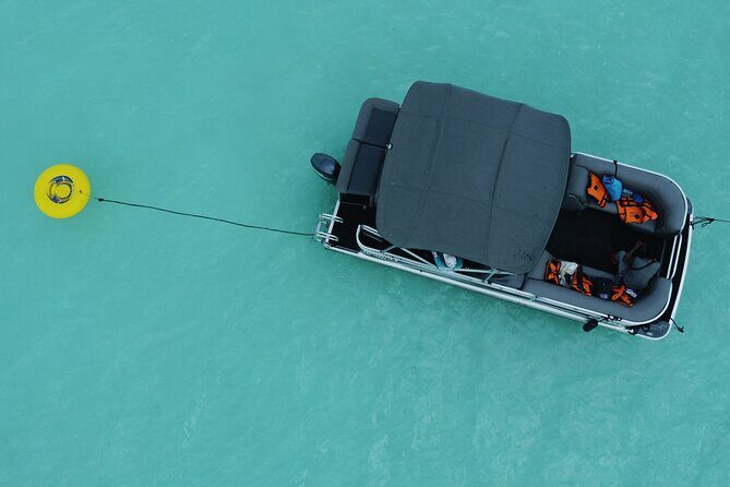 3 hr Pontoon Tour with access to Beach Club and Free Kayaks - Key Points