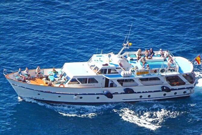 3 hrs Boat Excursion for whale watching from Valle GR (La Gomera) - A Deep Dive into the 3-Hour Whale Watching Experience