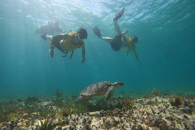 3 in 1 Catamaran Tour to Isla Mujeres from Cancun All Inclusive - The Itinerary Breakdown: What to Expect from Start to Finish
