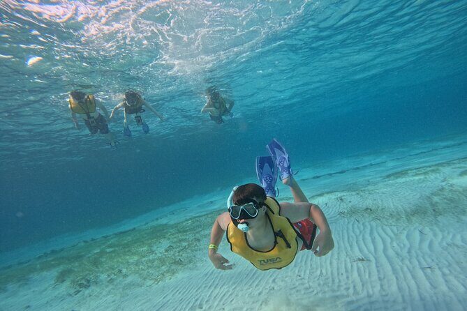 3 in 1 Jungle Tour Adventure Cancun - The Sum Up