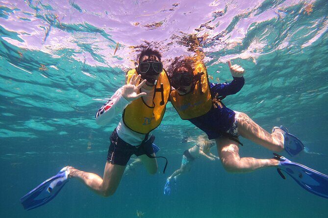 3 in 1 Jungle Tour Adventure Cancun - FAQ