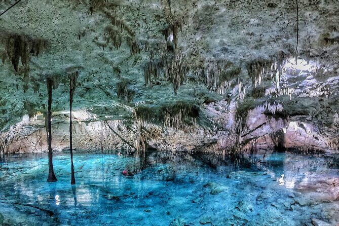 3 in 1 Private Tour Tulum Cenote and Snorkeling in the reef - Authentic Experiences and Unique Insights