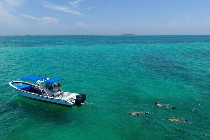 3 Islands Snorkel on boat, Isla Blanca, Contoy, Mujeres - Key Points