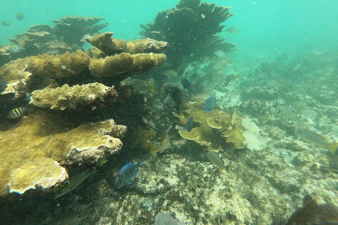 3 Islands Snorkel on boat, Isla Blanca, Contoy, Mujeres - Who Will Appreciate This Tour?