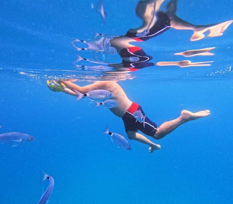 3 Islands Speedboat Tour: Golden Horn, Blue Lagoon & Jelsa - Final Thoughts