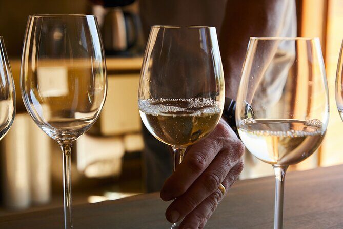 3 Italian sparkling wines and how to distinguish them: Prosecco, Franciacorta.. - The Itinerary: What to Expect During the Tour