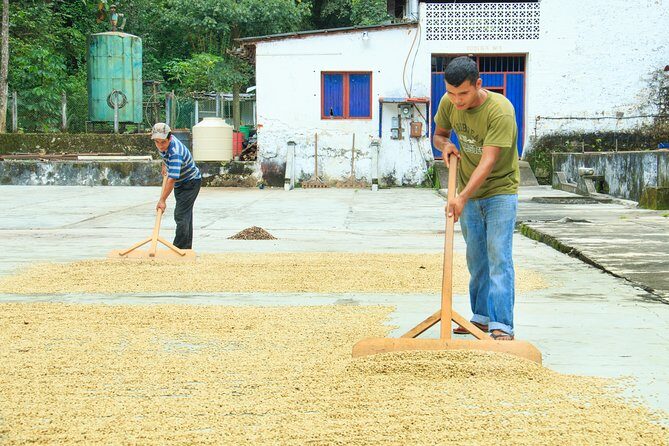 3 Levels of Huatulco Reloaded (Vanilla Experience) - Authenticity and Review Highlights