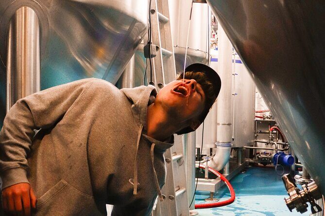 3 Locks Brewing Company Tour and Tasting Experience in Camden - Exploring the 3 Locks Brewing Company Tour and Tasting in Camden