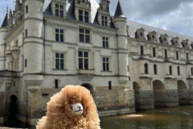 3 Loire Valley Castles and Wine Tasting Private Guided Tour - Additional Highlights and Practical Details