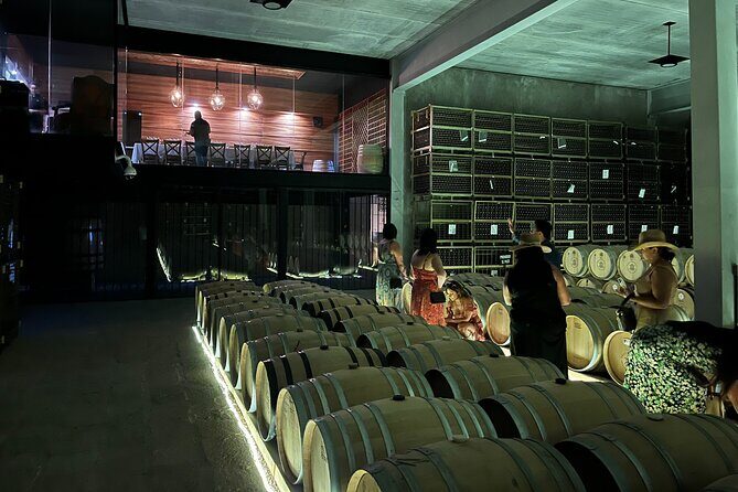 3 or 5 Course Menu + Wine Pairing + Tour @Local Winery - An In-Depth Look at the Tour Experience