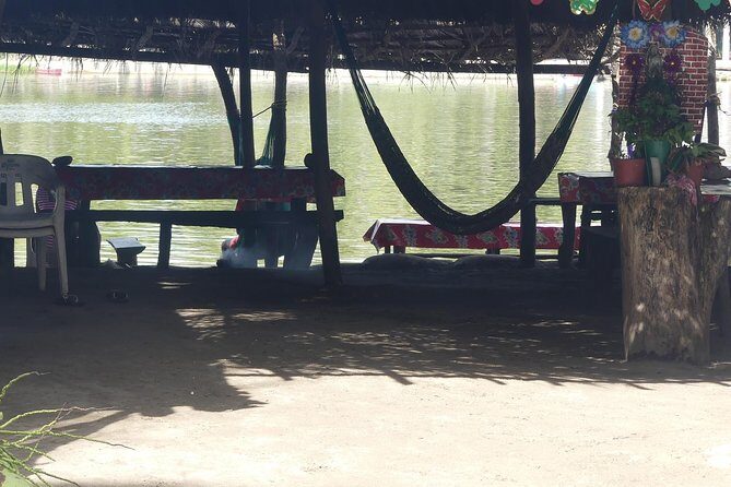 3 Palos Lagoon AfroMex Village Turtle Release & Croc Farm Visit - Practical Details and What It Means for You