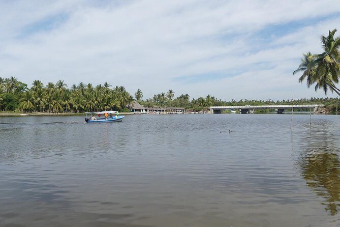 3 Palos Lagoon AfroMex Village Turtle Release & Croc Farm Visit - The Sum Up