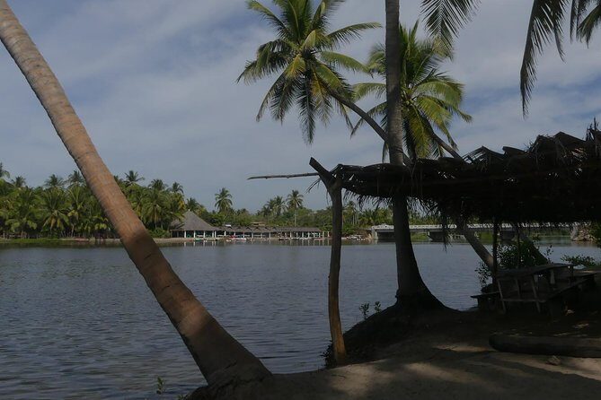 3 Palos Lagoon AfroMex Village Turtle Release & Croc Farm Visit - FAQs