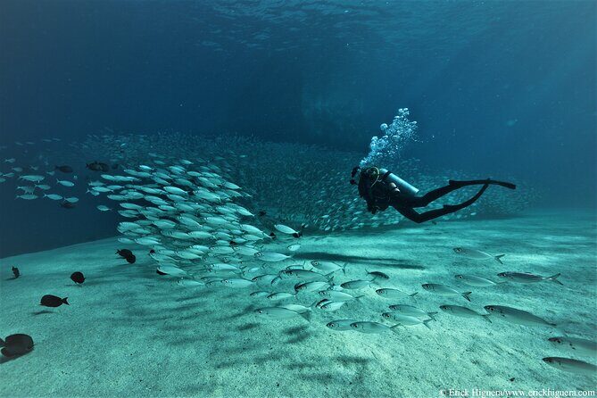 3 Tank Combo Cabo Reserve & Corridor, Certified Divers with MANTA - The Value of the Experience