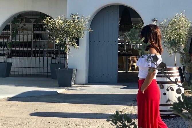 3 Wineries wine tasting & Greek Meal -Food and Wine pairing - Discovering Santorini’s Unique Wine Culture